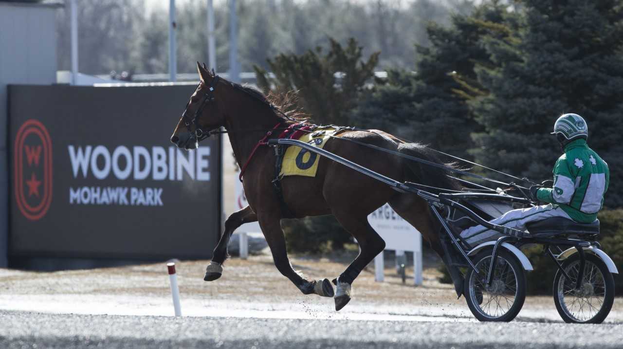 Woodbine Mohawk Park Venues Milton - Host Your Event